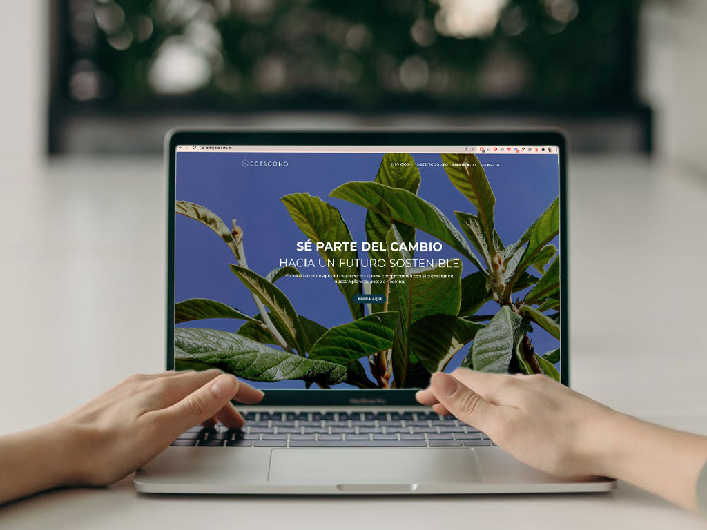 Ectagono | MatiKali Estudio Creativo